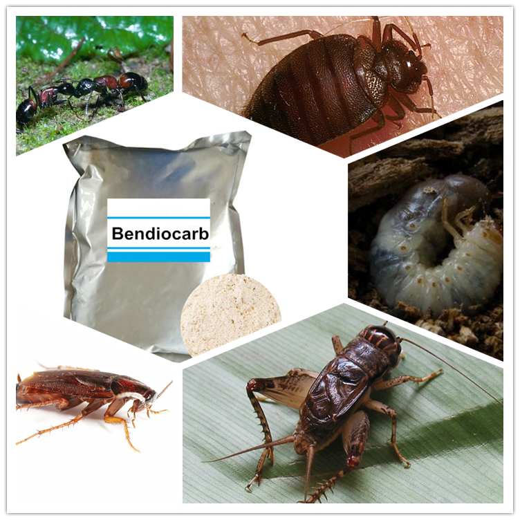 insecticide bendiocarb for sorghum/corn - agrichemistry.com